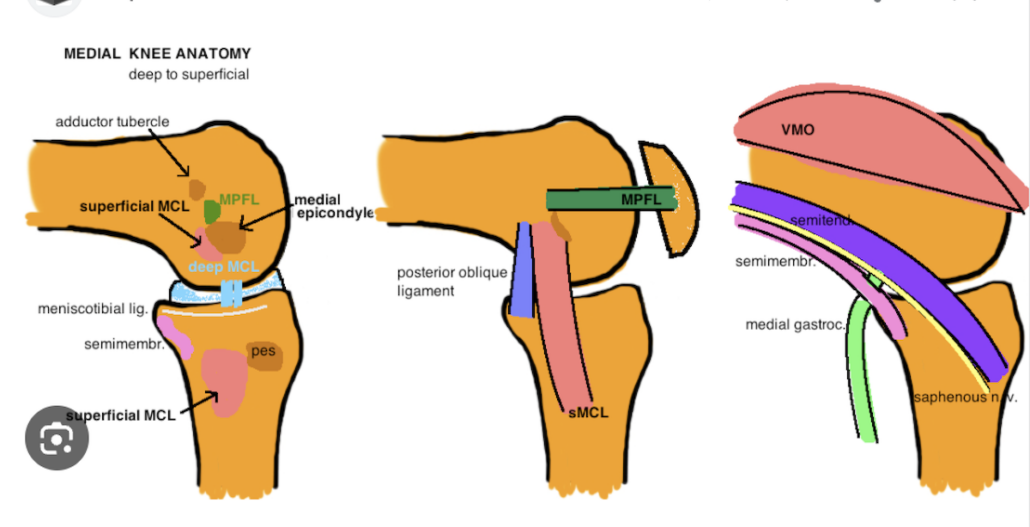 Symptoms of Wrong Size Knee Replacement. What Else Could be Wrong ...